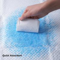 China Extra Large Disposable Dog Training Pee Pads 60×90 cm with 6g SAP Core and Antibacterial Protection for sale