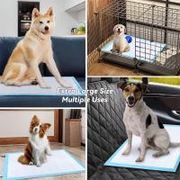 China Extra Large Disposable Dog Training Pee Pads 60×90 cm with 6g SAP Core and Antibacterial Protection for sale
