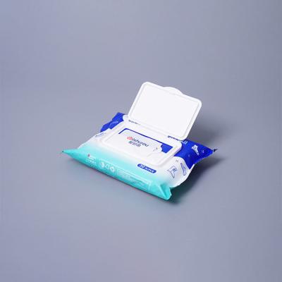 China Eco-Friendly Disposable Shoe Cleaning Wipes 200mm x 12mm Size 30pcs/Bag OEM Customizable for sale