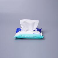 China Eco-Friendly Disposable Shoe Cleaning Wipes 200mm x 12mm Size 30pcs/Bag OEM Customizable for sale