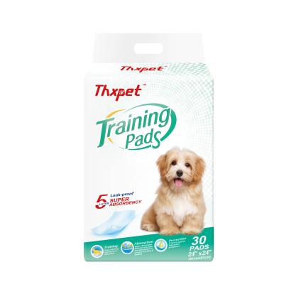 China Super Absorbent Pet Training Pads 60x90cm 6g SAP for Small Large Dogs for sale