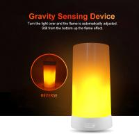 China CE 1500K Magne Flicker Flame Night Light Bulbs With Remote Control for sale