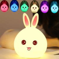 China Cord Free Colorful Silicone LED Night Light For Outdoor Camping for sale