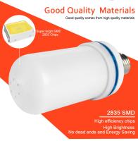 China PC 4 Modes 265VAC Garden Led Flame Light Bulbs 1500K Flame Effect Light Bulb for sale