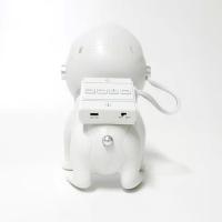 China 29cm Galaxy Projector Night Light Space Dog Bluetooth Galaxy Projector For Presents for sale