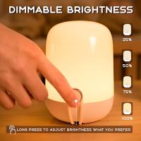 China Dimmable RGB 127mm Portable Night Lamp For Breastfeeding for sale