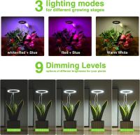 China 220V Indoor Plant Light  D90mm Mini Desk Growth LED Plant Lamp for sale