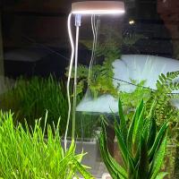 China Sunshine Desk Grow Light 8 Hours Grow Lights For Indoor Plants for sale