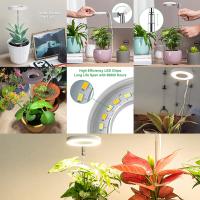 China Sunshine Desk Grow Light 8 Hours Grow Lights For Indoor Plants for sale