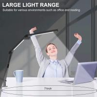 China Clamp Desk Lamp Dual Light Swing Arm Adjustable Heat Lamp For Home for sale