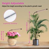 China 53*42*51cm LED Growth Lamp Small Plants 5 Level Dimming Seed Grow Light for sale