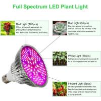 China E27 100w Led Grow Light Full Spectrum Lamp Bulb For Veg Flower for sale