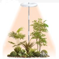 China 9W Height Adjustable LED Growth Lamp 4000k For Indoor Desk plant for sale