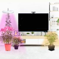 China 9W Height Adjustable LED Growth Lamp 4000k For Indoor Desk plant for sale