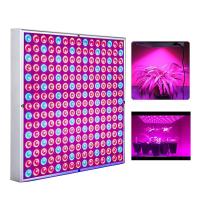 China Red Blue White Panel 45w Led Grow For Seedling Vegetable Flower for sale