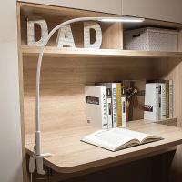 China PS 64cm Flexible Gooseneck Long Arm Table Lamp Large Dimmable Clip On Lamp for sale