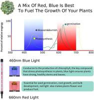 China Flexible Goose Neck 30w Grow Light Indoor With Auto Timer for sale
