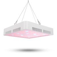 China 300W Indoor Garden LED Growth Lamp 265V Full Spectrum Grow Light For Greenhouse Plant for sale