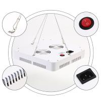 China 300W Indoor Garden LED Growth Lamp 265V Full Spectrum Grow Light For Greenhouse Plant for sale