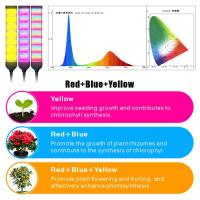 China Large Plants 60W LED Grow Lights With Intelligent And Remote Controler for sale