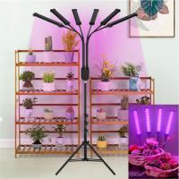 China Large Plants 60W LED Grow Lights With Intelligent And Remote Controler for sale