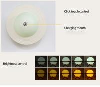 China 16 Colors LED Moon Lamp Lighting , 3D Printing USB Rechargeable Night Light for sale