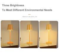 China Restaurant Cordless LED Touch Desk Light , Bar Hotel Rechargeable Metal Table Lamp for sale