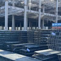 China PC Truss Reinforcement Bar - High Tensile Steel Custom Width 7-Day Delivery for Precast Concrete Structures for sale