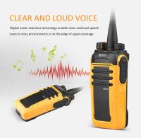 China Hytera BD618 DMR Digital Two-Way Radio IP66 Long Range for sale