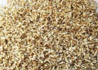 China Northern China Broken Walnut Kernels for sale