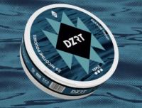 China ICY RUSH 10mg DZRT NIC Pouches ZYN cans for sale