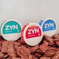 China nico pouches ZYN boxes pouch custom tag various tastes for sale