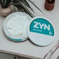 China 2024 2025 ZYN nic pouches Various flavors and variable content for sale