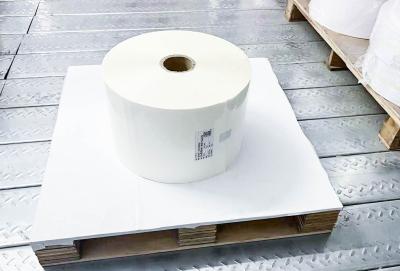 China Acrylic Adhesive Glue Milky PE Label Material Paper Roll Large Ordinary Sticky for sale