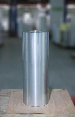 China Brushed Silver Self Adhesive Label Paper , Pearlescent Film  Weather Proof Labels for sale