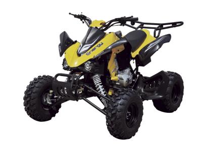China EEC Chain Drive Kandi ATV Quad Bike 250CC , 5 Speed With Reverse for sale