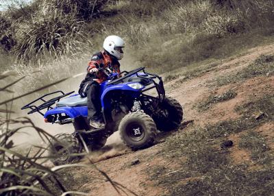 China Blue 250CC Utility ATV Quad Bike 4 Wheel , Five Speed With Reverse for sale
