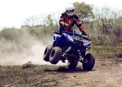 China Five Speed with Reverse 250CC Utility ATV Four Wheels , 4 Stroke for sale