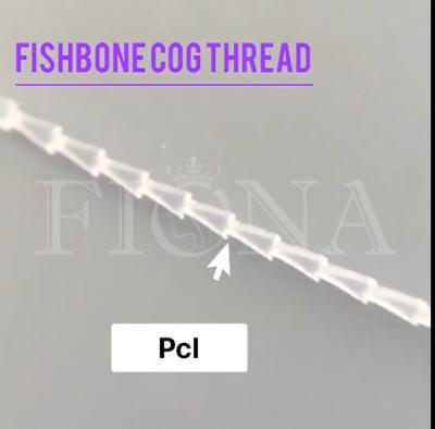 China Absorbable PDO PCL PLACL Molding Cog Thread Anchor / Shark for sale