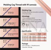 China Z Type Molding Cog Thread Strong Traciona Bem for sale