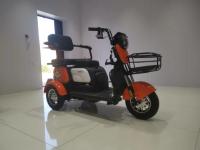 China Flexible Leisure Electric Tricycle For Adults Motorized 500w for sale