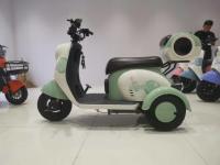 China Flexible Leisure Electric Tricycle For Adults Motorized 500w for sale