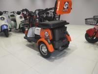 China Flexible Leisure Electric Tricycle For Adults Motorized 500w for sale