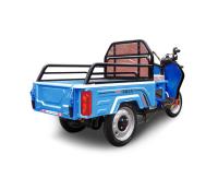 China 500W Electric Tricycle Truck Three Wheel Electric Cargo Bike for sale