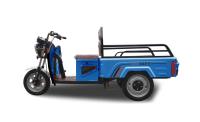 China 500W Electric Tricycle Truck Three Wheel Electric Cargo Bike for sale