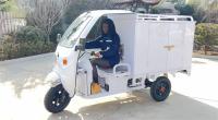 China Passenger Electric Delivery Tricycle Freight Lightweight Electric Delivery Trike Fast for sale