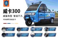 China Weika 300 Transport Electric Pick Up Truck Electric Tricycle Car Passenger for sale