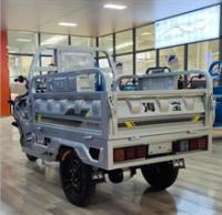 China Carrying Cargo Electric Tricycle Truck Electric Tricycle For Cargo for sale