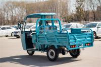 China B01 1500WD Three Wheel Electric Truck Electric Cargo Trike 1 Person for sale