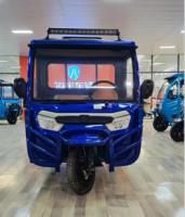 China Truck Three Wheel Electric Car Cargo Electric Utility Trike Electric Charging for sale